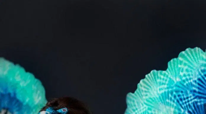 Hồ sơ SING – Nhóm nhạc SING – Thành viên SING – SING Profile - BlogAnChoi