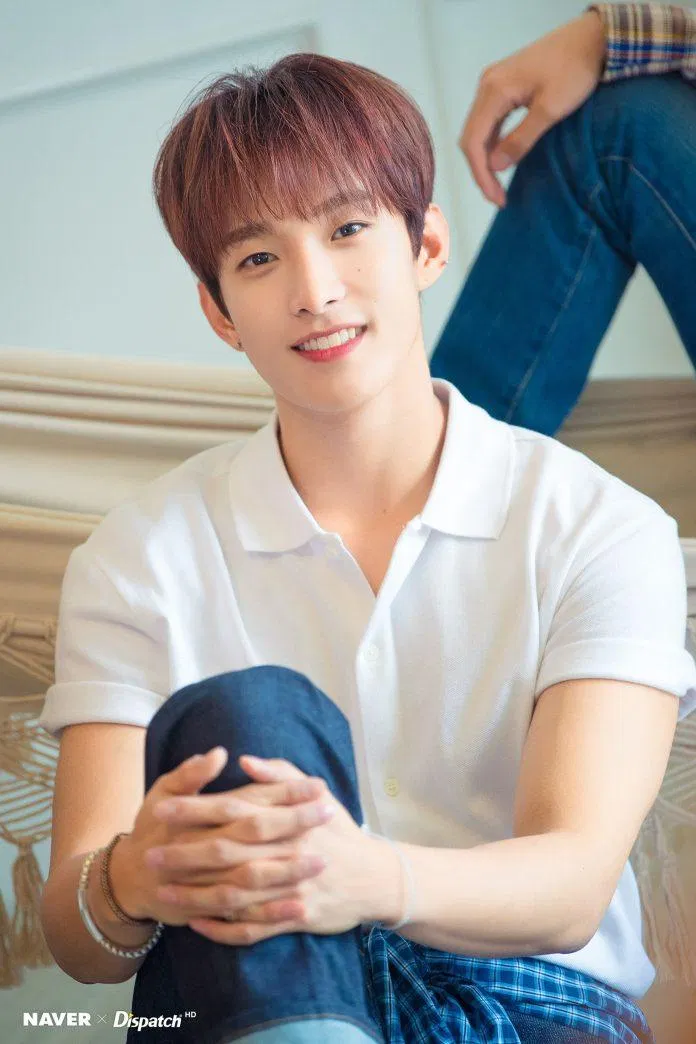 19 idol Kpop thuộc nhóm INFP - MBTI có tính cách nhút nhát nhất ...